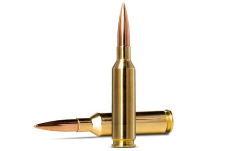 Golden Target Match | Norma USA