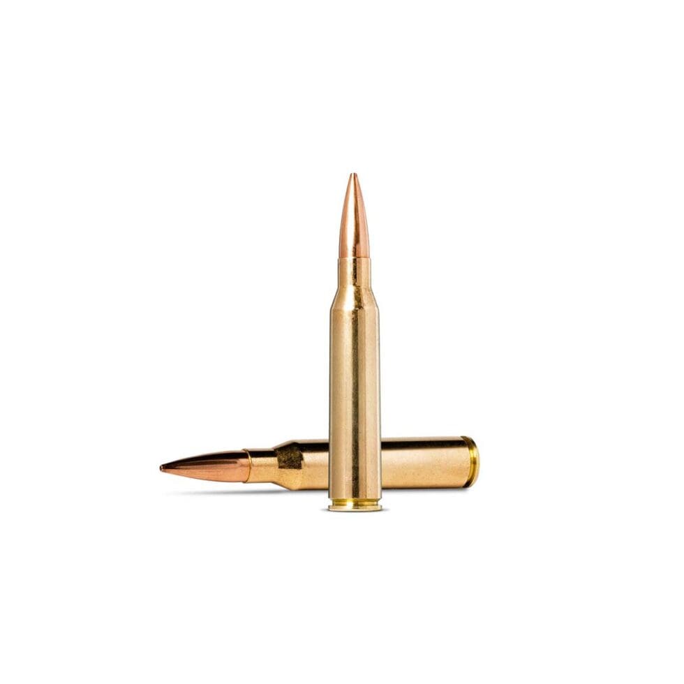 .338 Norma Mag Golden Target Match 300 gr 20 QTY | Norma USA