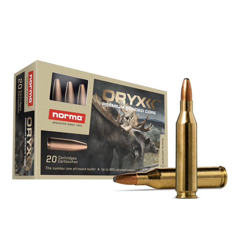 .243 Winchester Oryx 100 gr 20 QTY | Norma USA
