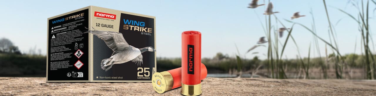 Wingstrike | Norma USA